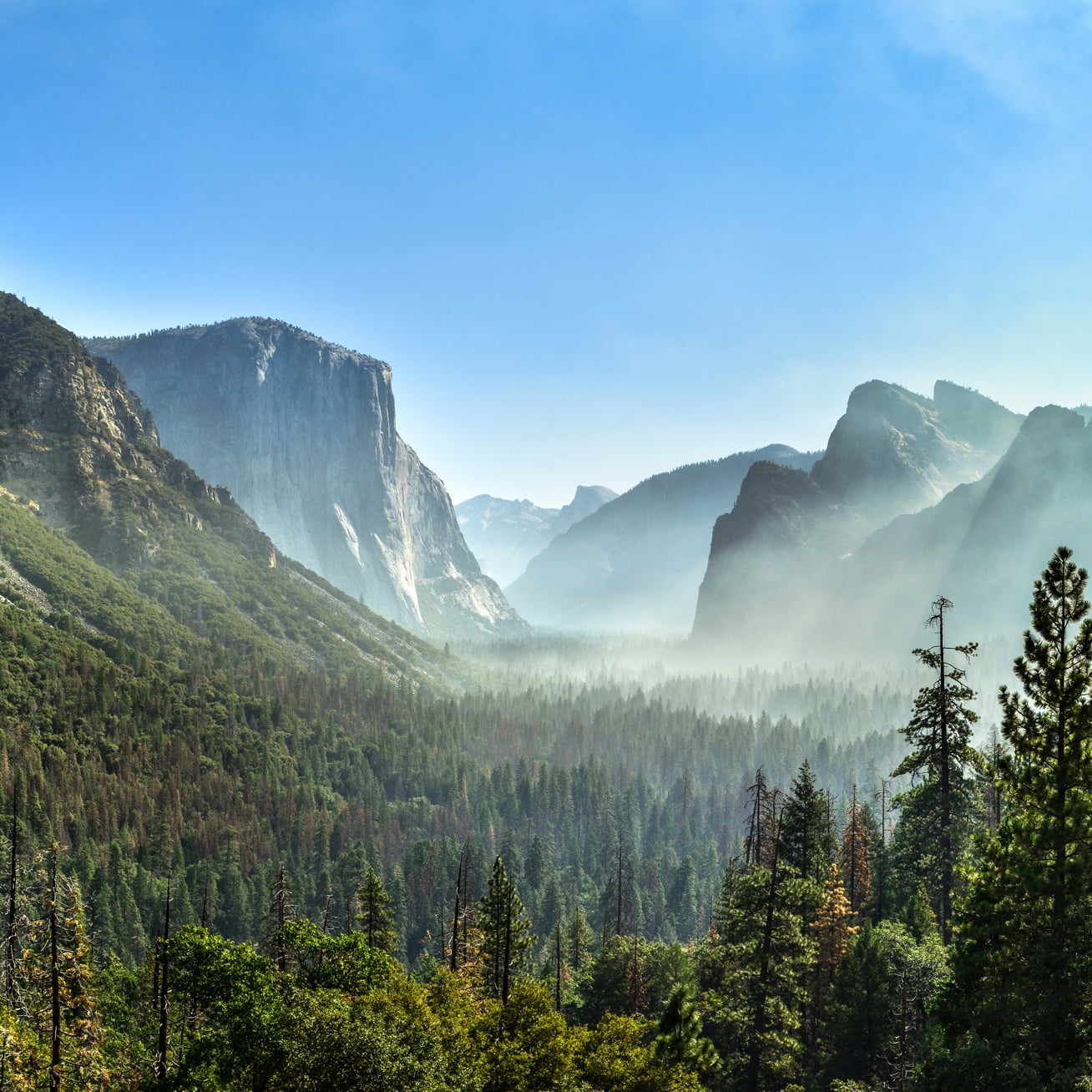 Standard in the Heights